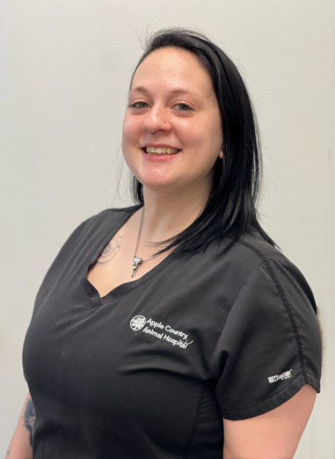 Stow, MA 01775 Veterinarians | Apple Country Animal Hospital